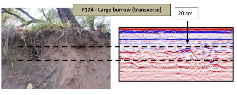 Burrow GPR | Dr. Ilya V. Buynevich - Temple University
