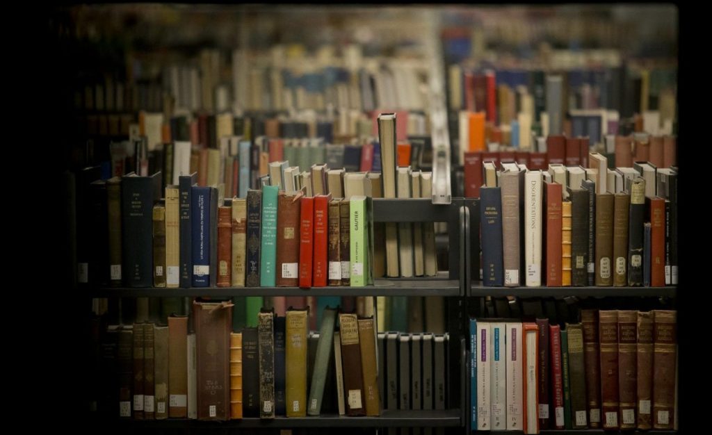 Danielle K. Scherer – Assistant Professor of Political Science ...