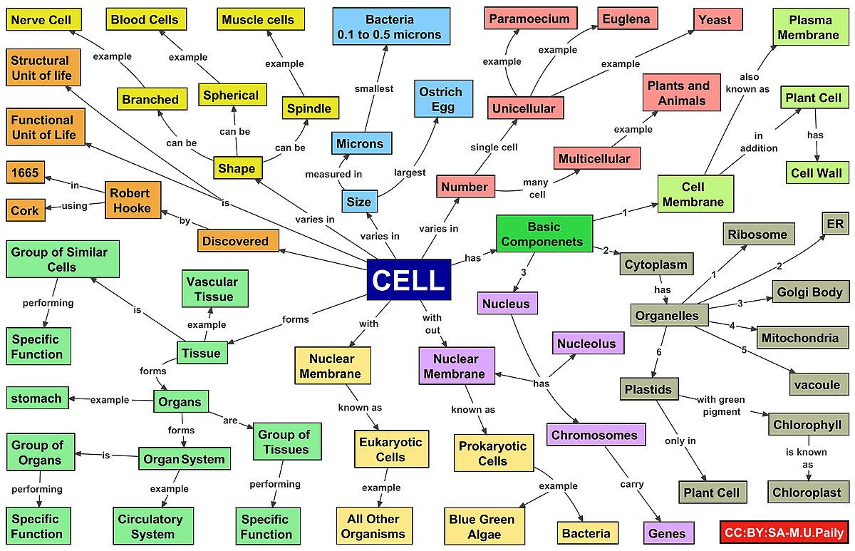 Another Look at Active Learning, Part 2: The World’s Easiest Learning ...