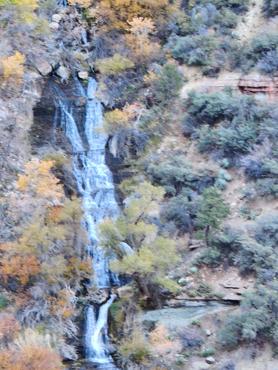 Grand Canyon Springs | Dr. Laura Toran