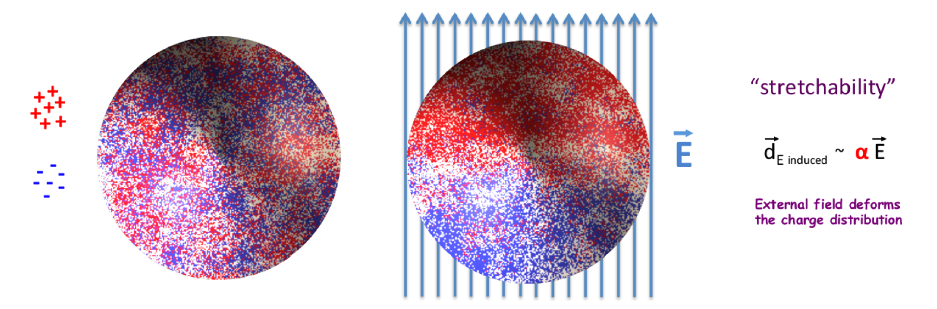 Proton Polarizabilities – Nuclear Physics Group