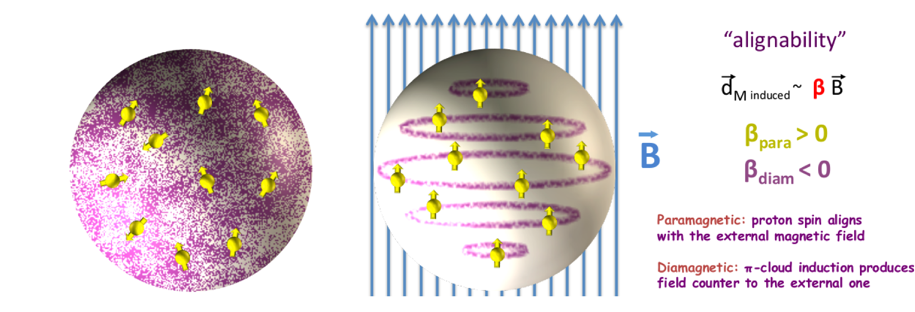Proton Polarizabilities – Nuclear Physics Group