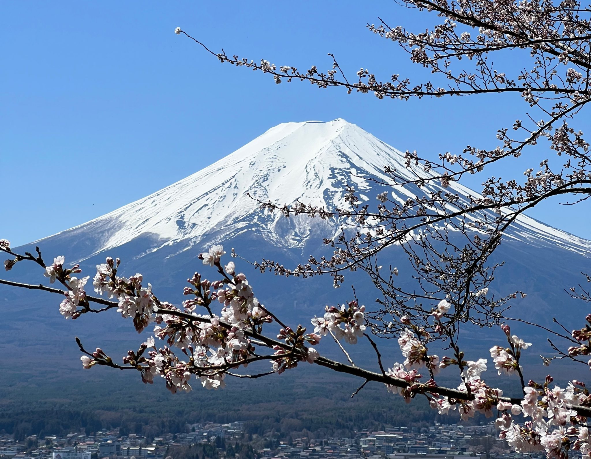 Studying Abroad While Studying Abroad – OWLTOPIA