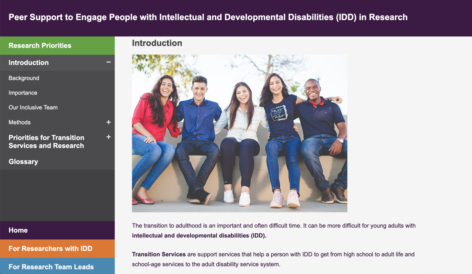 Peer Support to Engage People with Intellectual and Developmental ...