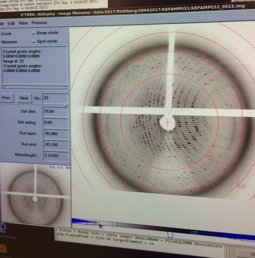 Research – Rothberg Lab