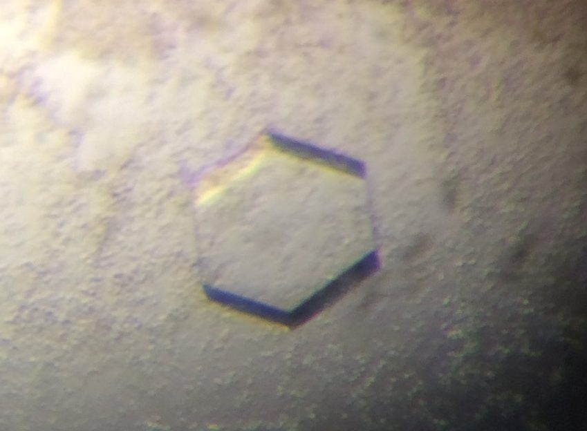 Research – Rothberg Lab