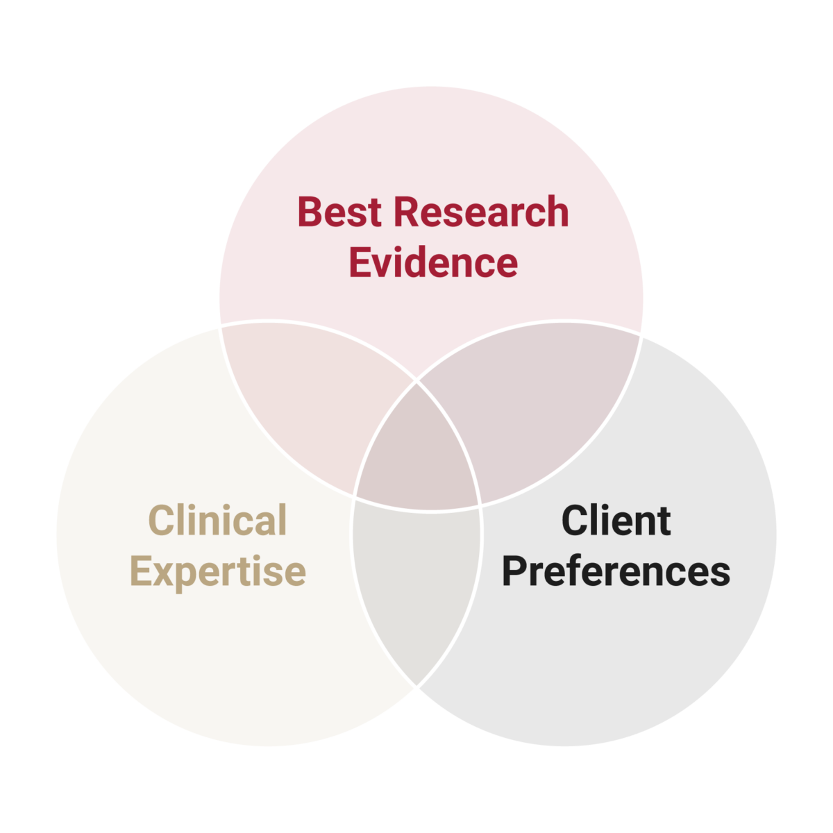 Evidence-Based Practice - RT Wise Owls