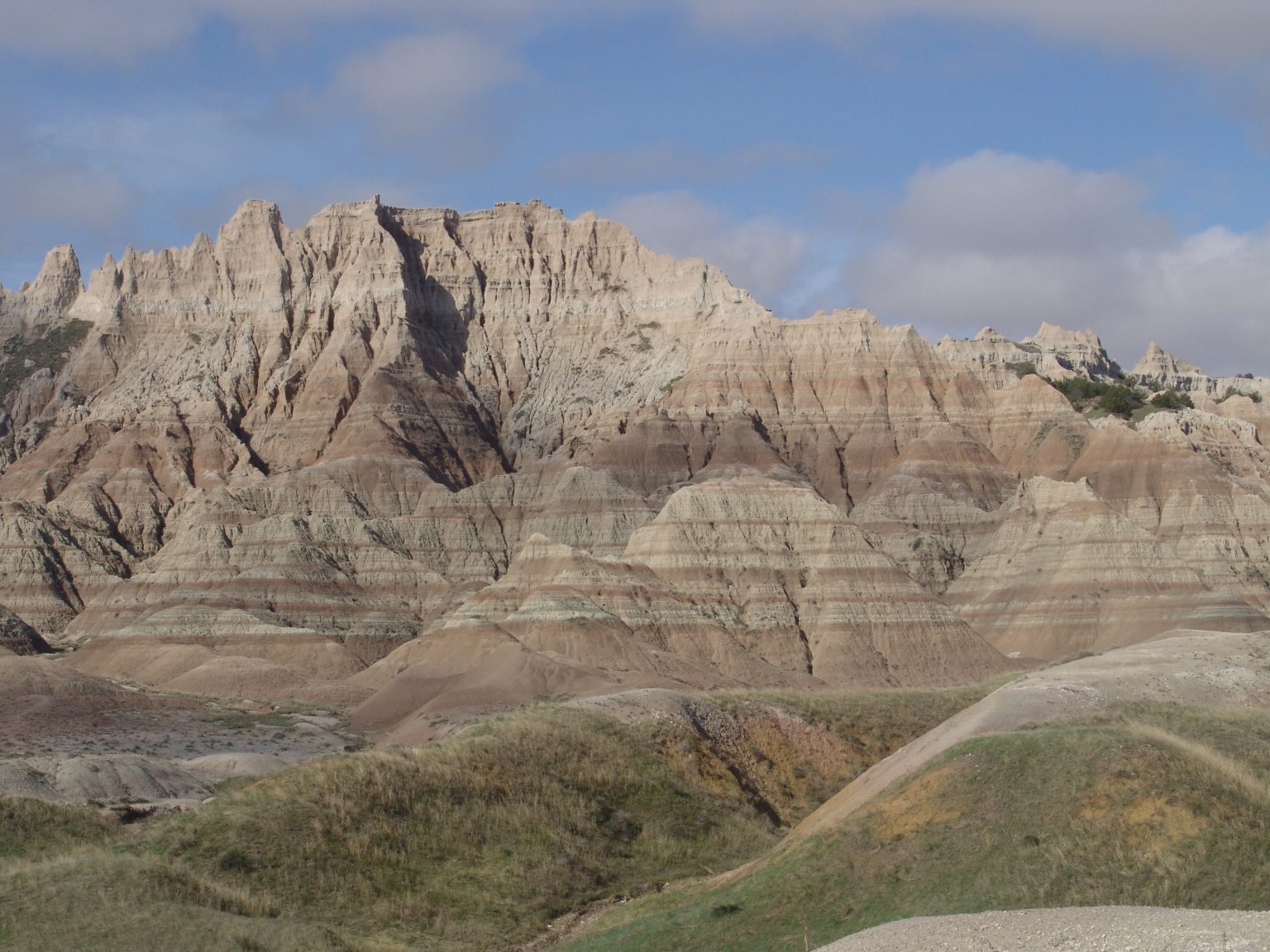 PEDS Research Group | Dr. Dennis Terry