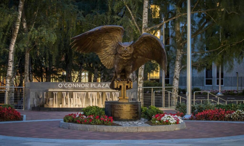 Courses - Science, Technology, and Society at Temple University