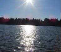 Under the Lemon Moon | Text to Talk