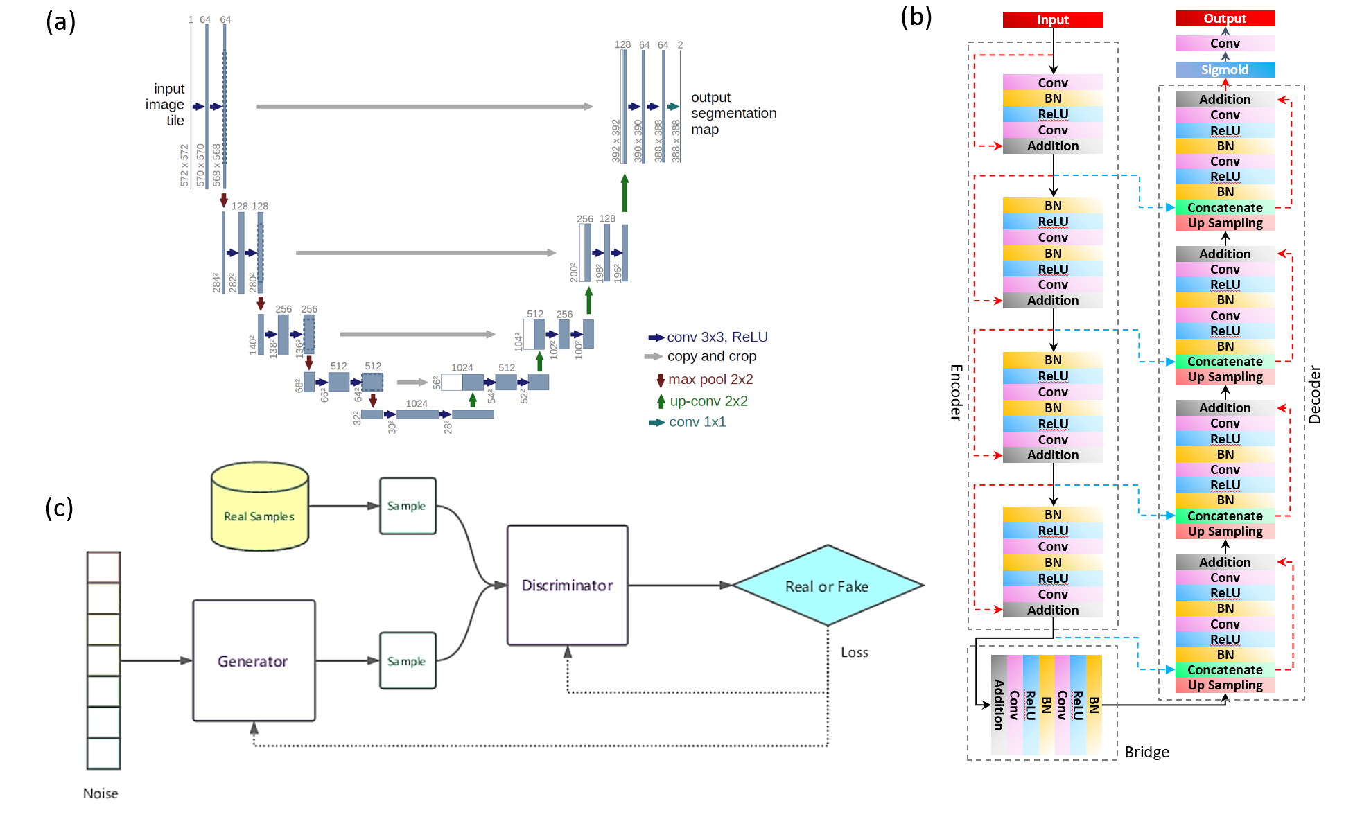 Machine Learning for Image Segmentation – Loretta C. Duckworth Scholars ...