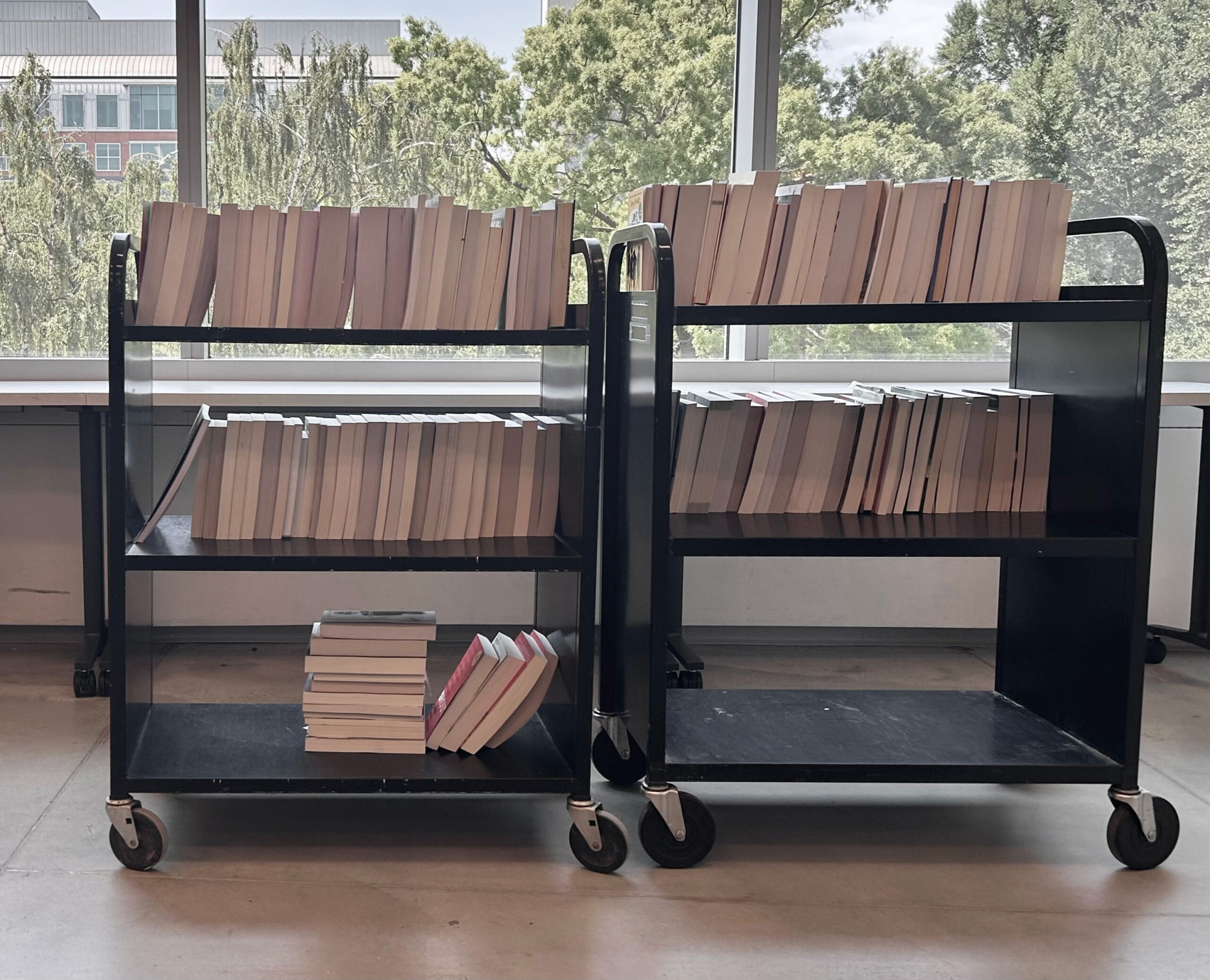 Pulling Back the Curtain on Censorship: Part 3 of The Banned Books ...