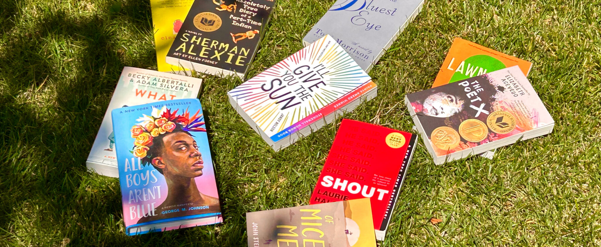 How to Judge a (Banned) Book by Its Cover: Part 2 of the Banned Books ...