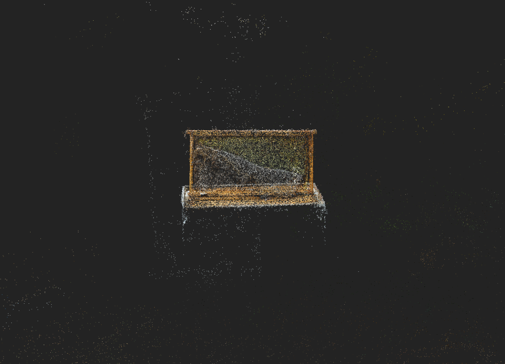 Envisioning Metamorphosis: Simulating Habitats of Worms with Point ...
